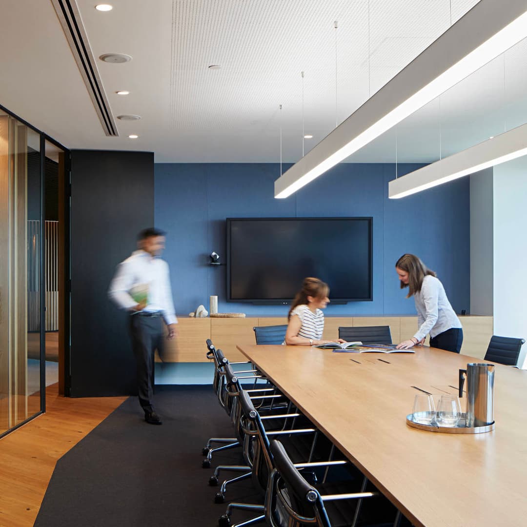 Leading public infrastructure developer | Plenary Americas